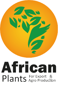AFRICAN PLANTS FOR EXPORT AND AGRO-PRODUCTION Egypt - Forie.com