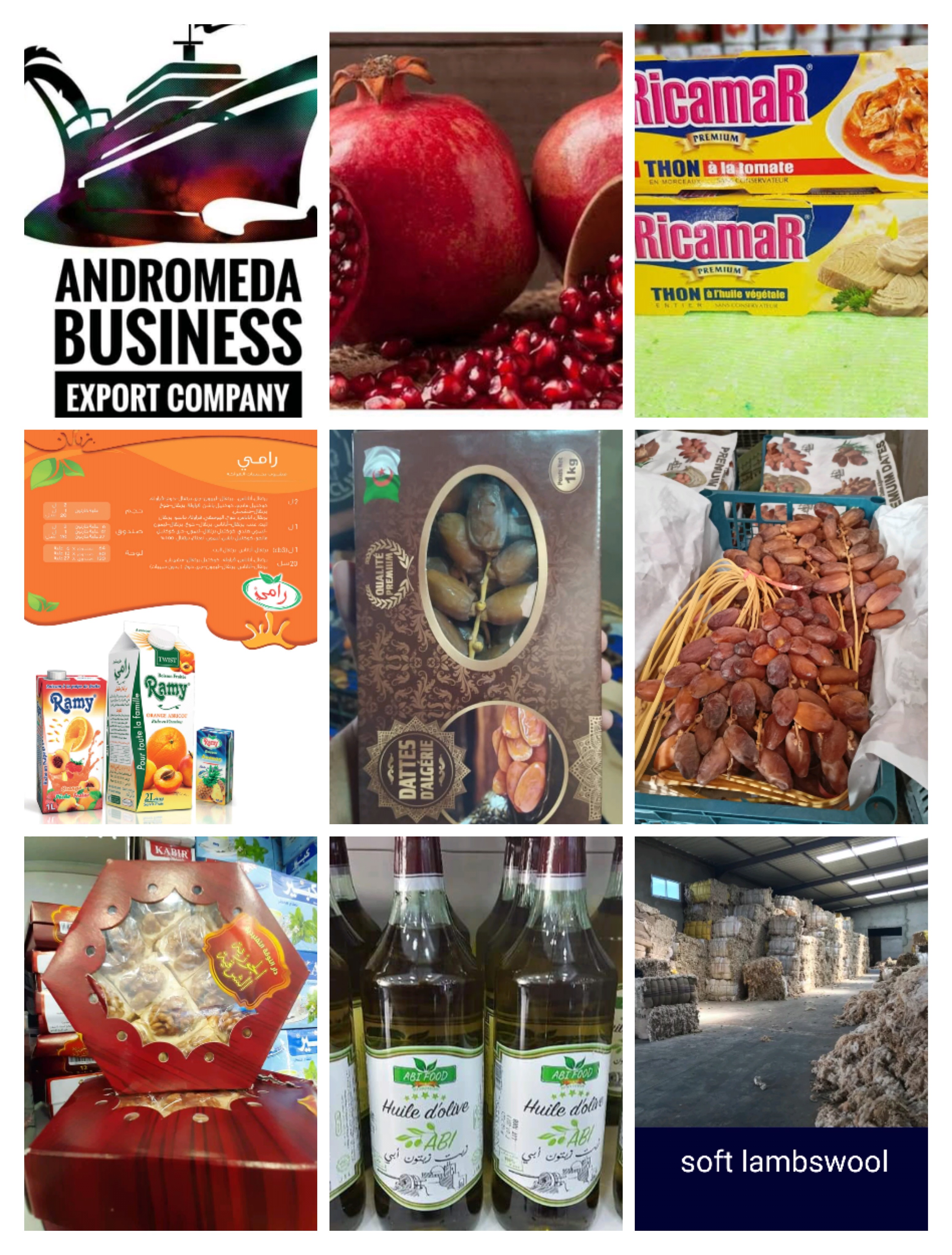 ANDROMEDA BUSINESS EXPORT COMPANY Algeria - Forie.com